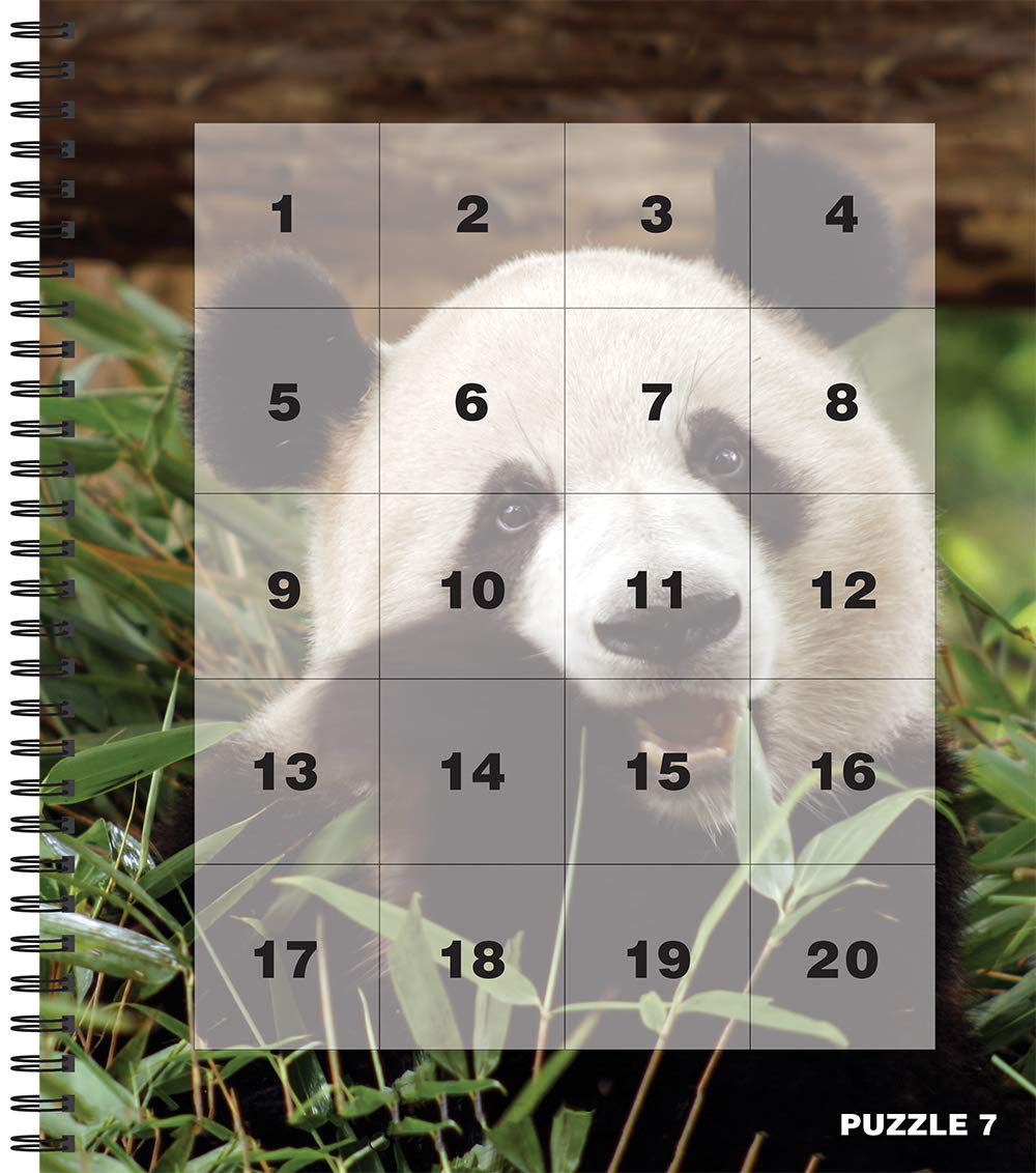 Zoo Animals, Brain Games - Sticker by Number by Publications ...