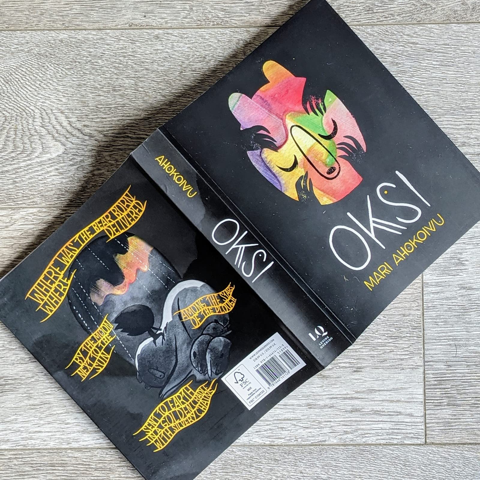 Oksi by Mari Ahokoivu | 9781646141128 | Booktopia