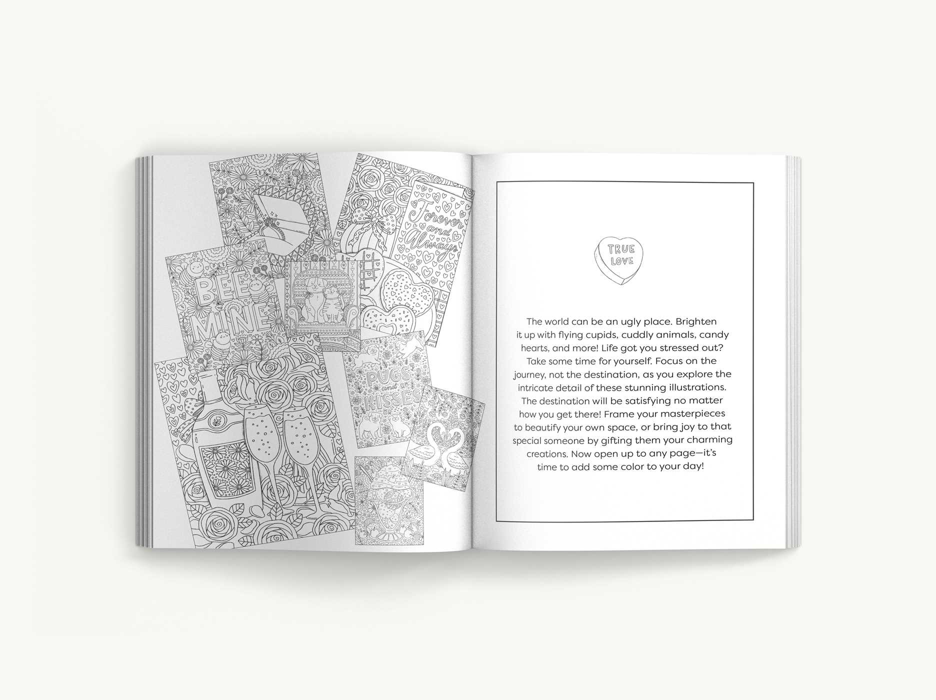 Color Me Love, A Valentine's Day Coloring Book (Adult Coloring Book ...