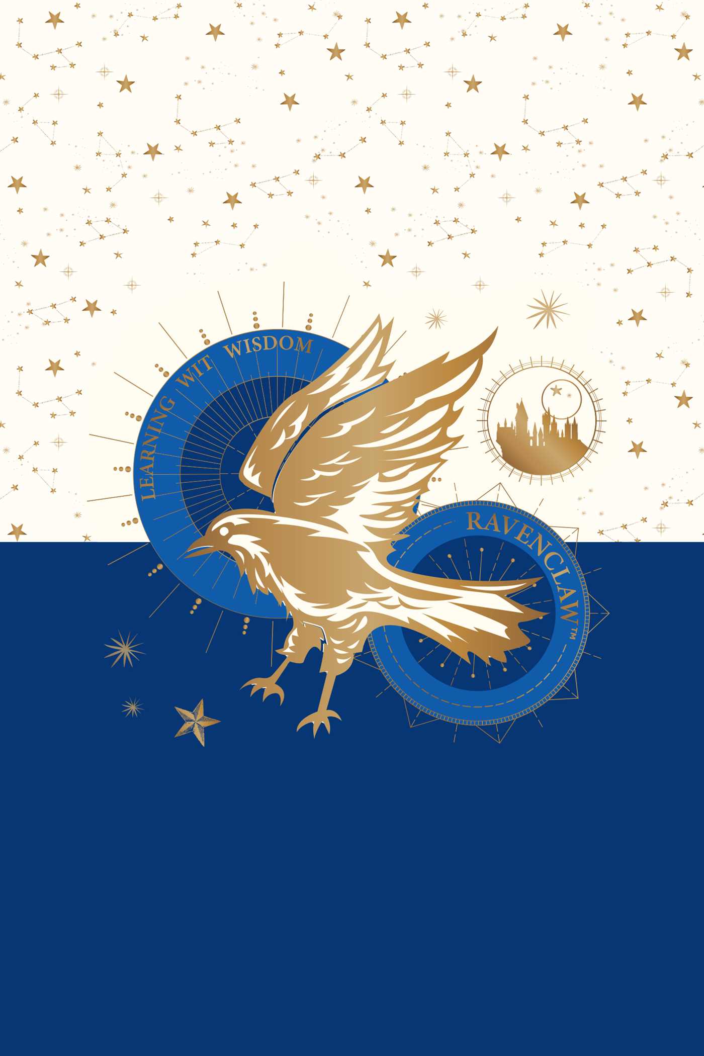 Harry Potter, Ravenclaw Constellation Postcard Tin Set (Set of 20) by ...