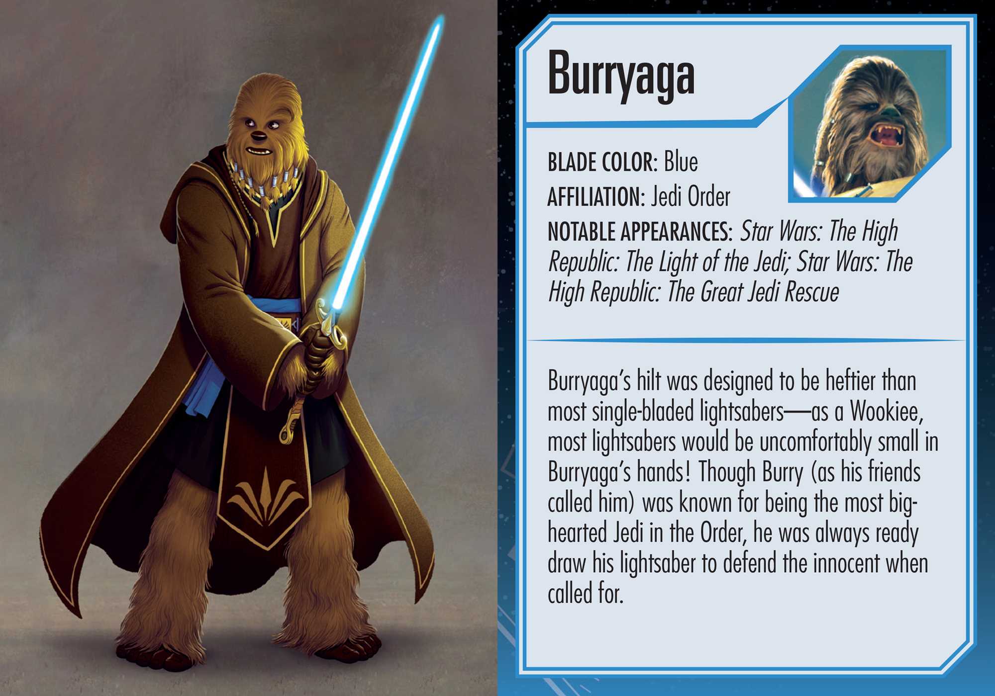 Star Wars: The Mini Book of Lightsabers by Insight Editions ...