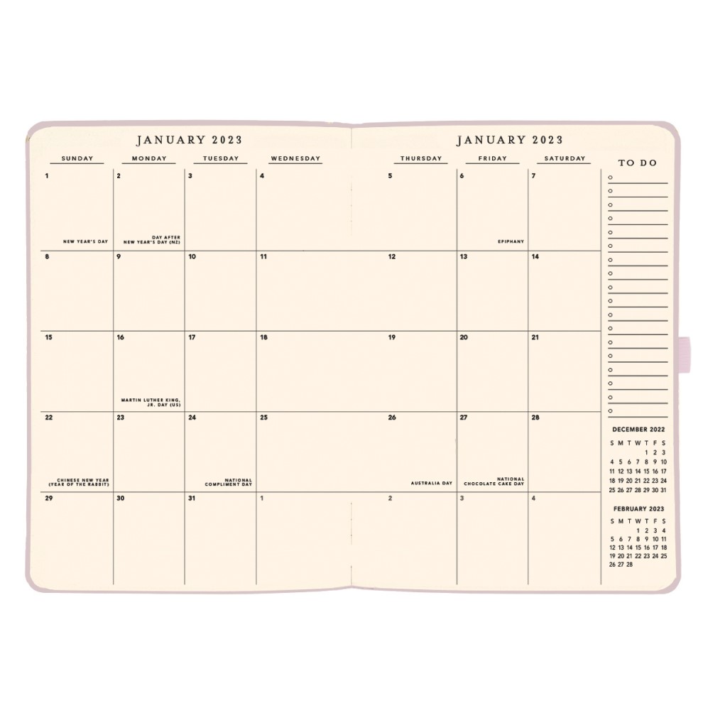 Classic Light Pink - 2023 6x8 Vegan Leather Planner, 2023 Diaries by ...