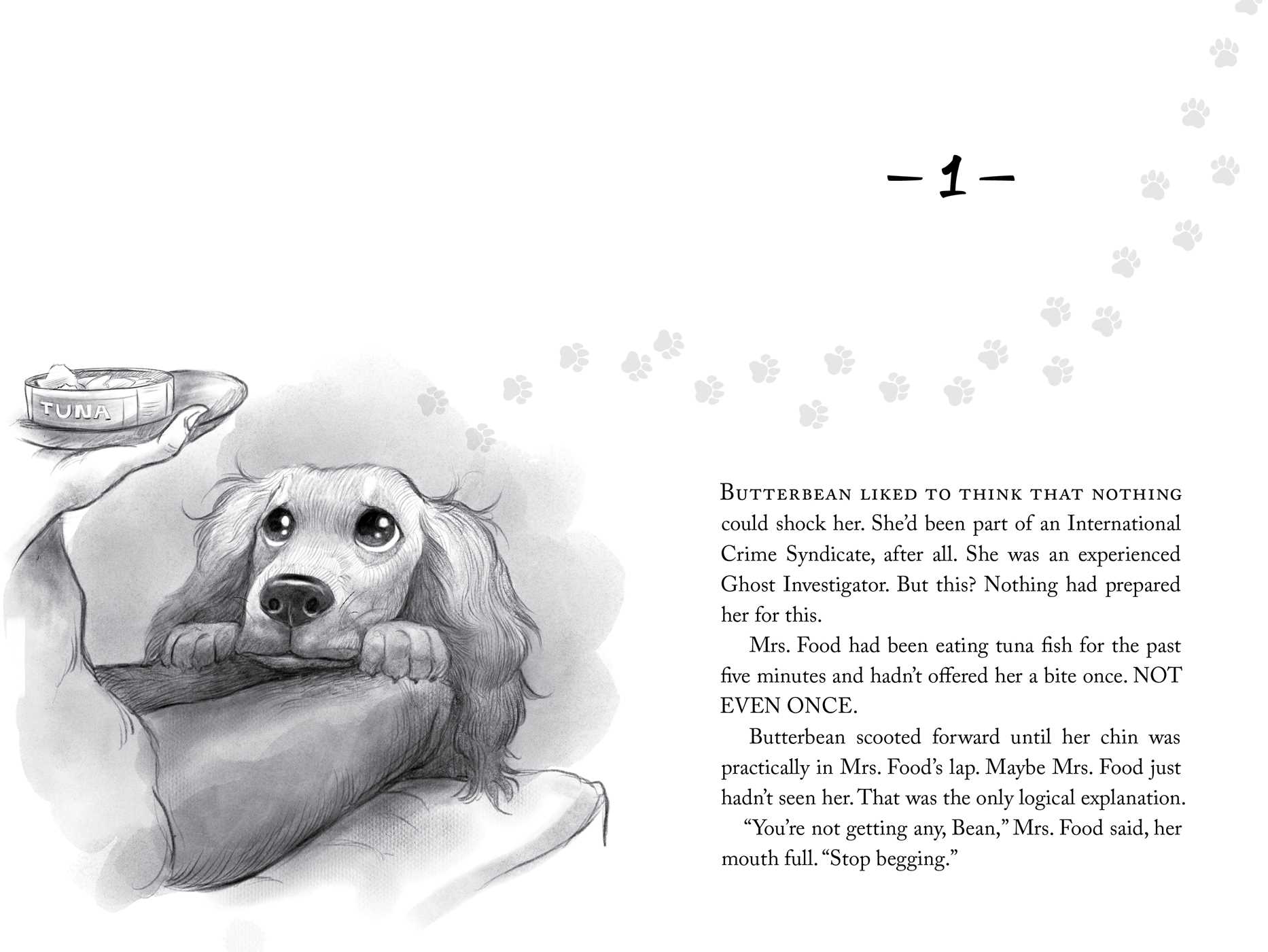 The Great Vandal Scandal, The Great Pet Heist by Emily Ecton ...