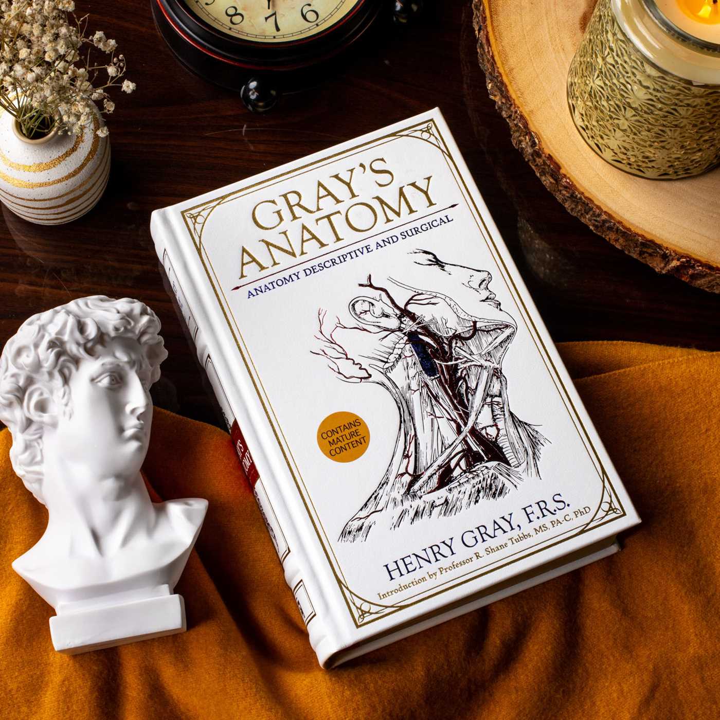 Anatomy Of The Human Body Henry Gray Grays Anatomy Of The Human Body