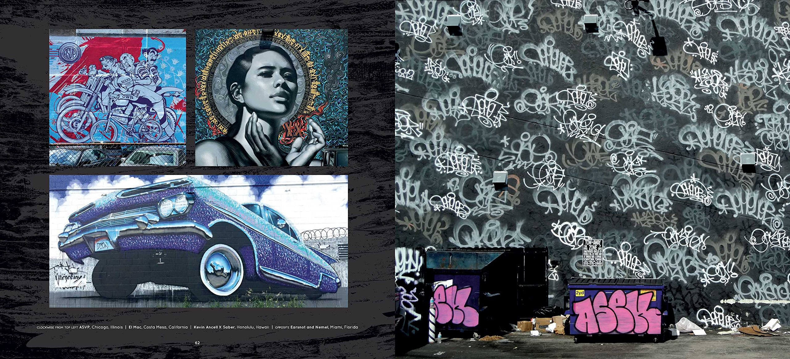 The Urban Canvas, Street Art Around the World by G James Daichendt ...