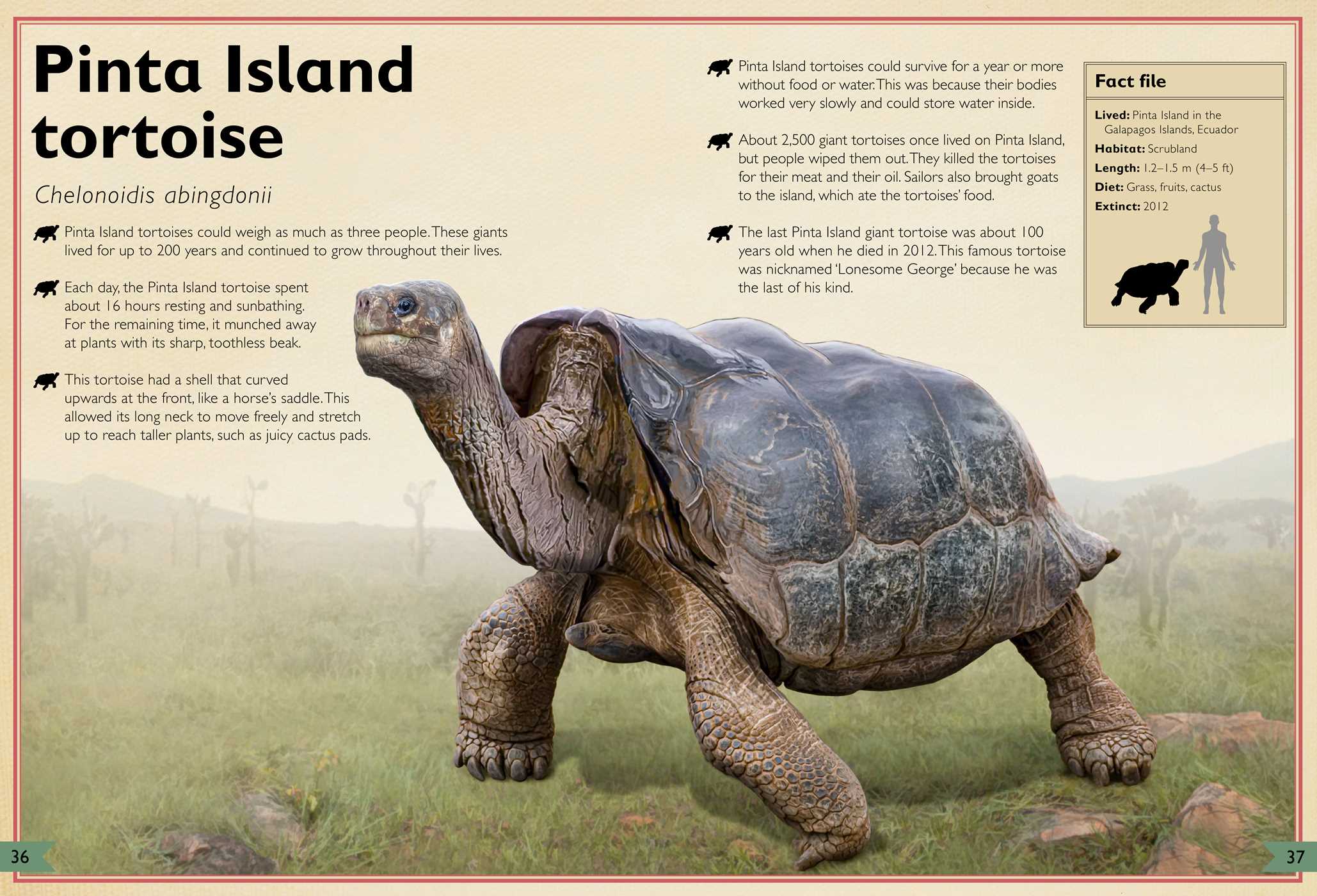 The Magnificent Book of Extinct Animals, (Extinct Animal Books for Kids ...