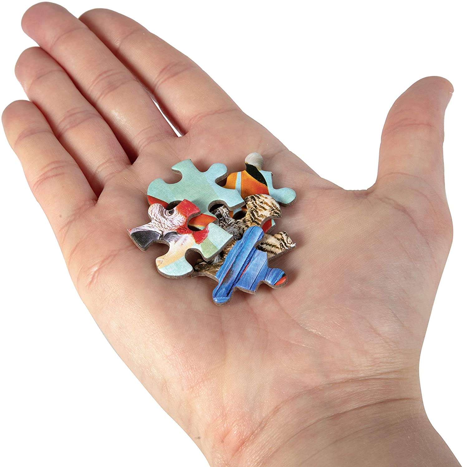 Field Guide to Magnificent Birds - Puzzle, 500-Piece Jigsaw Puzzle by ...