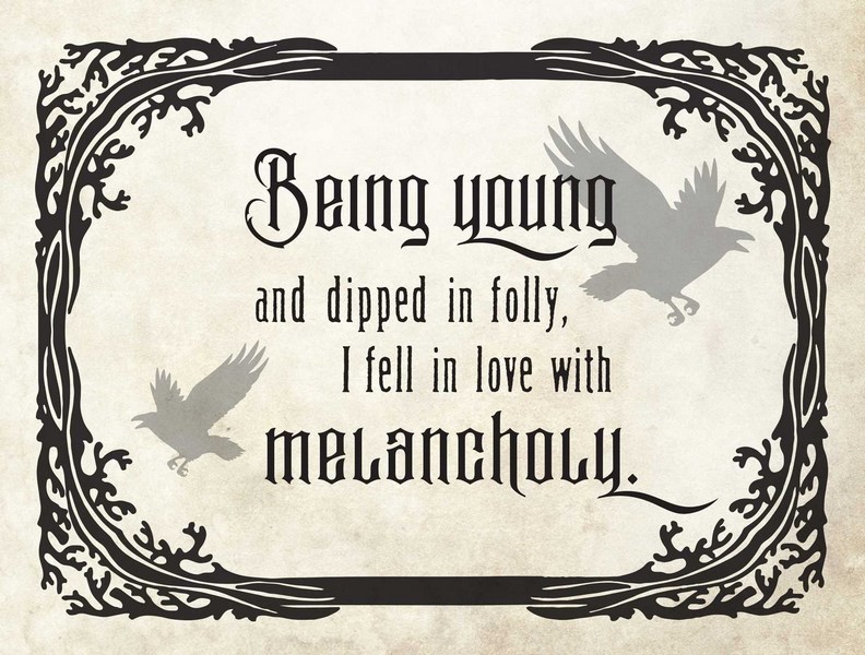 Edgar Allan Poe Deluxe Note Card Set (With Keepsake Book Box), Literary ...