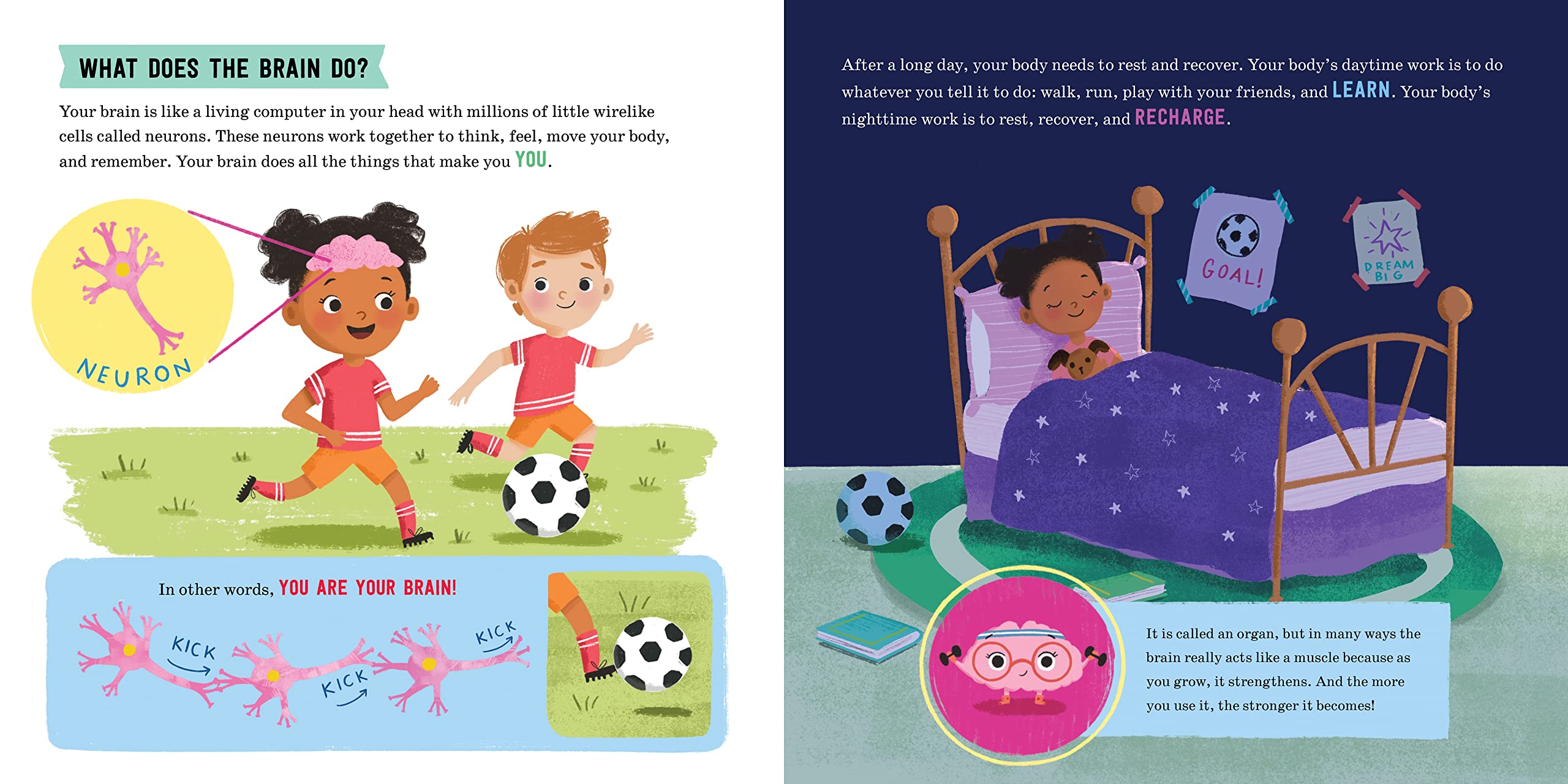 Good Night to Your Fantastic Elastic Brain by JoAnn Deak ...