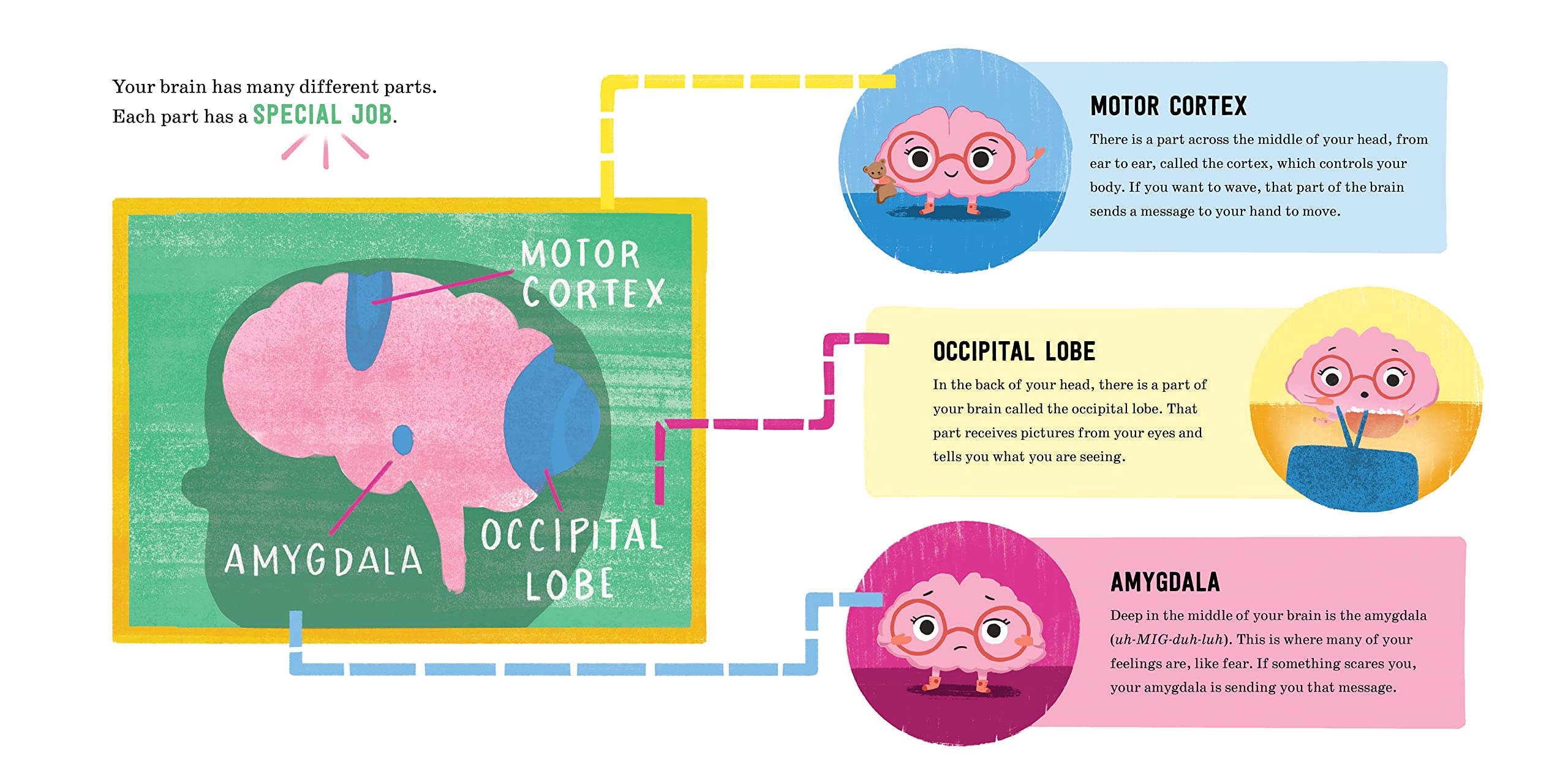Good Night to Your Fantastic Elastic Brain by JoAnn Deak ...