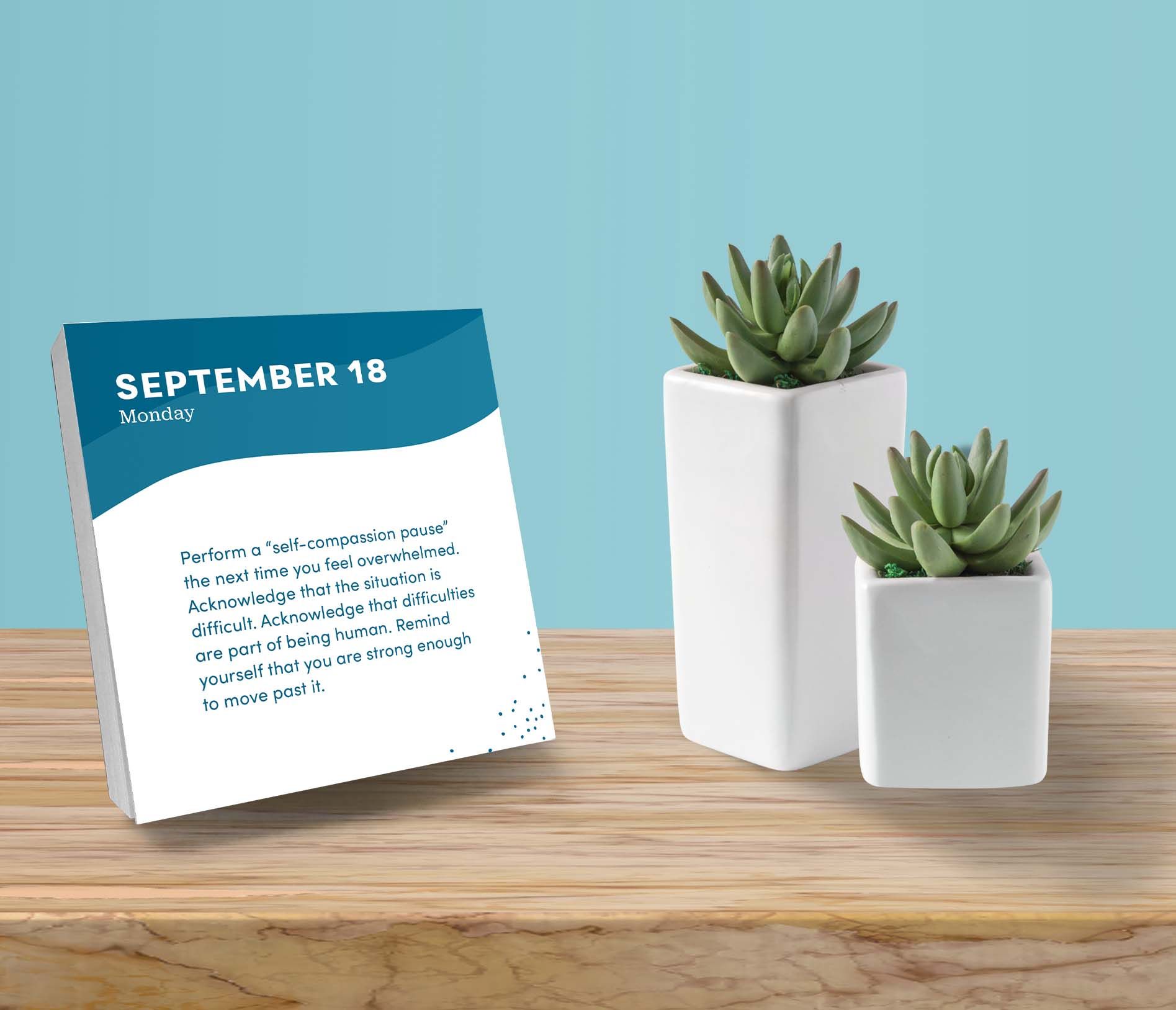 Everyday Calm - 2023 Daily Desk Calendar, 365 days of inspiration and ...