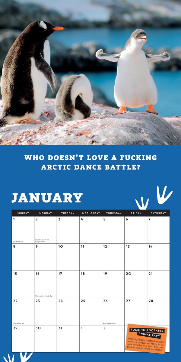 Too F*cking Cute Animals - 2023 Wall Calendar, A Year of Unnecessarily ...