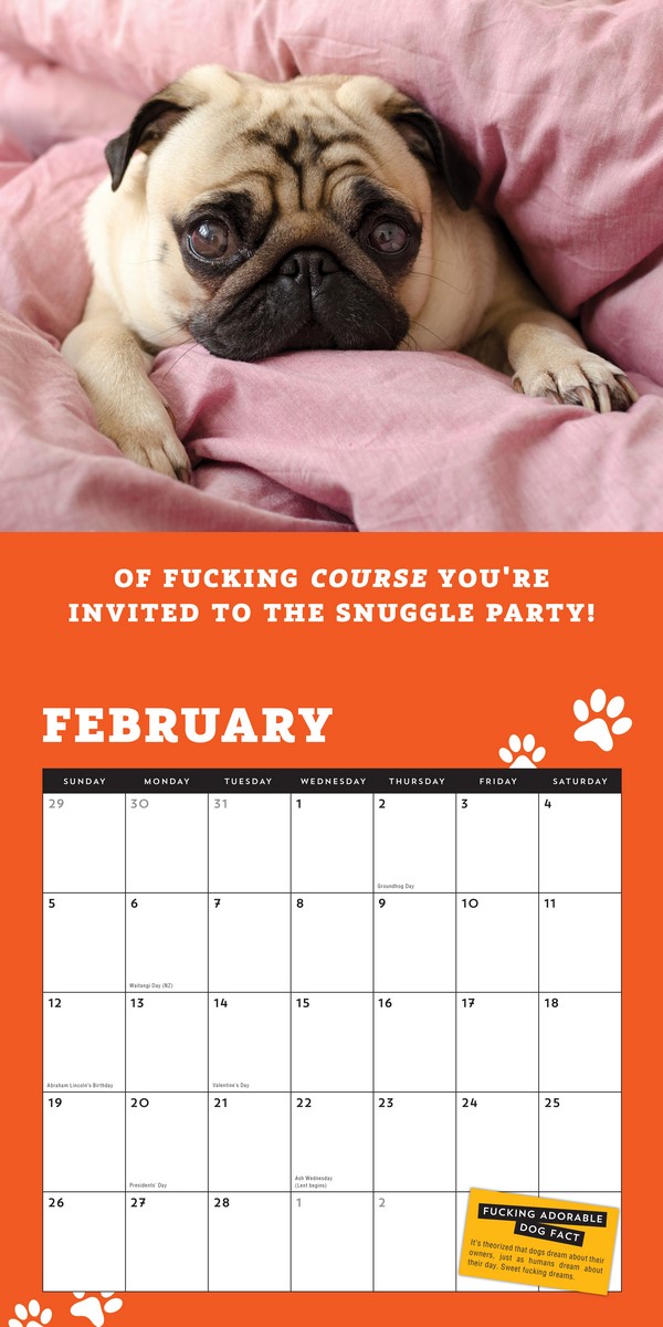Too F*cking Cute Dogs - 2023 Wall Calendar, A Year of Unnecessarily ...