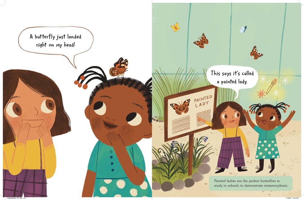 The Story of a Butterfly, Learn about the life cycle and habitat of the ...