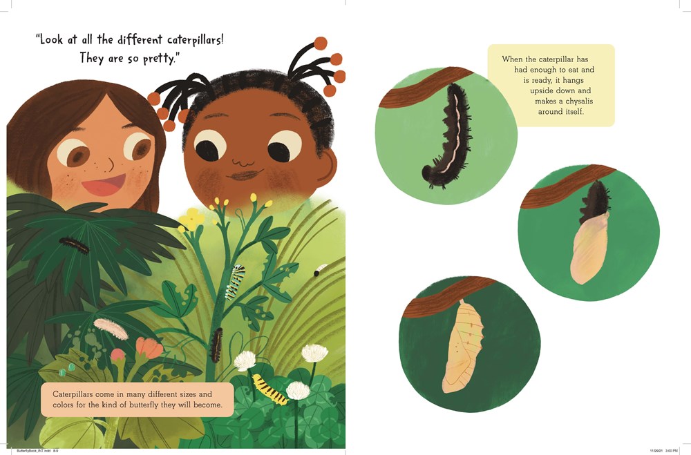 The Story of a Butterfly, Learn about the life cycle and habitat of the ...