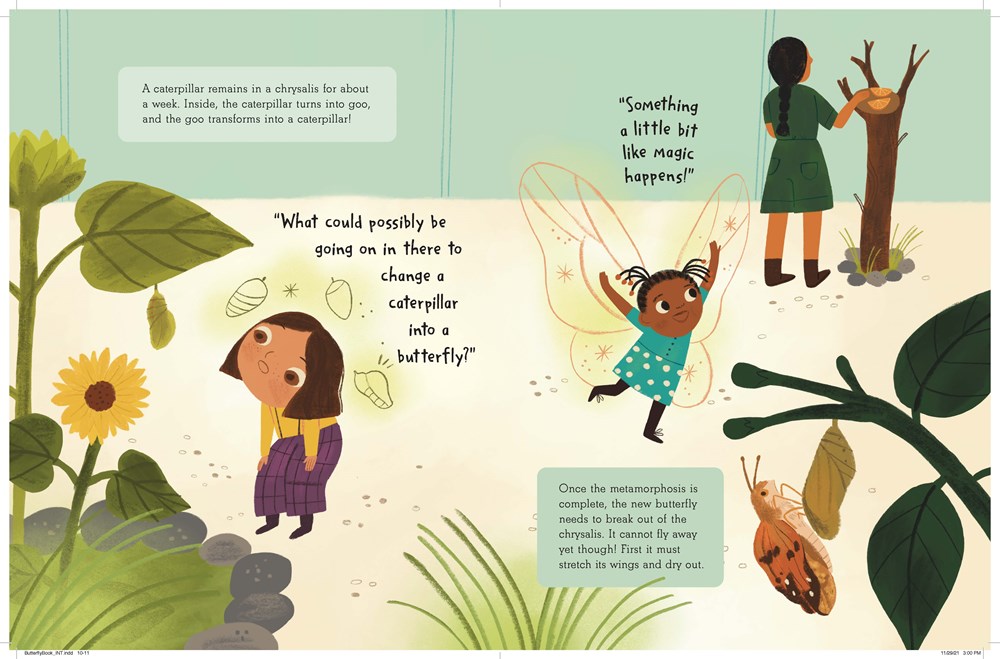 The Story of a Butterfly, Learn about the life cycle and habitat of the ...