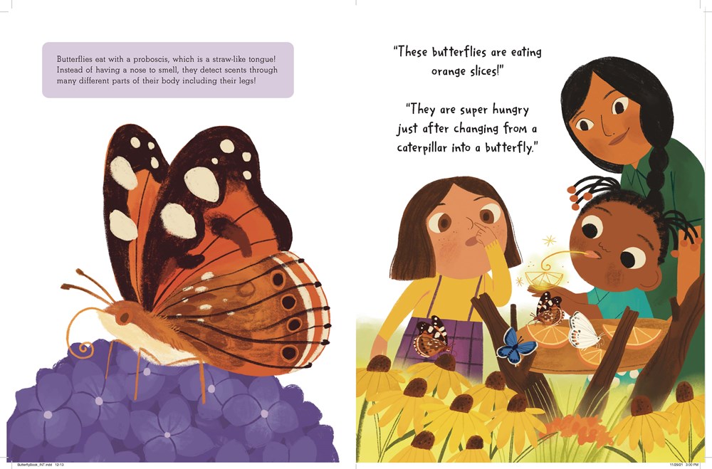 The Story of a Butterfly, Learn about the life cycle and habitat of the ...