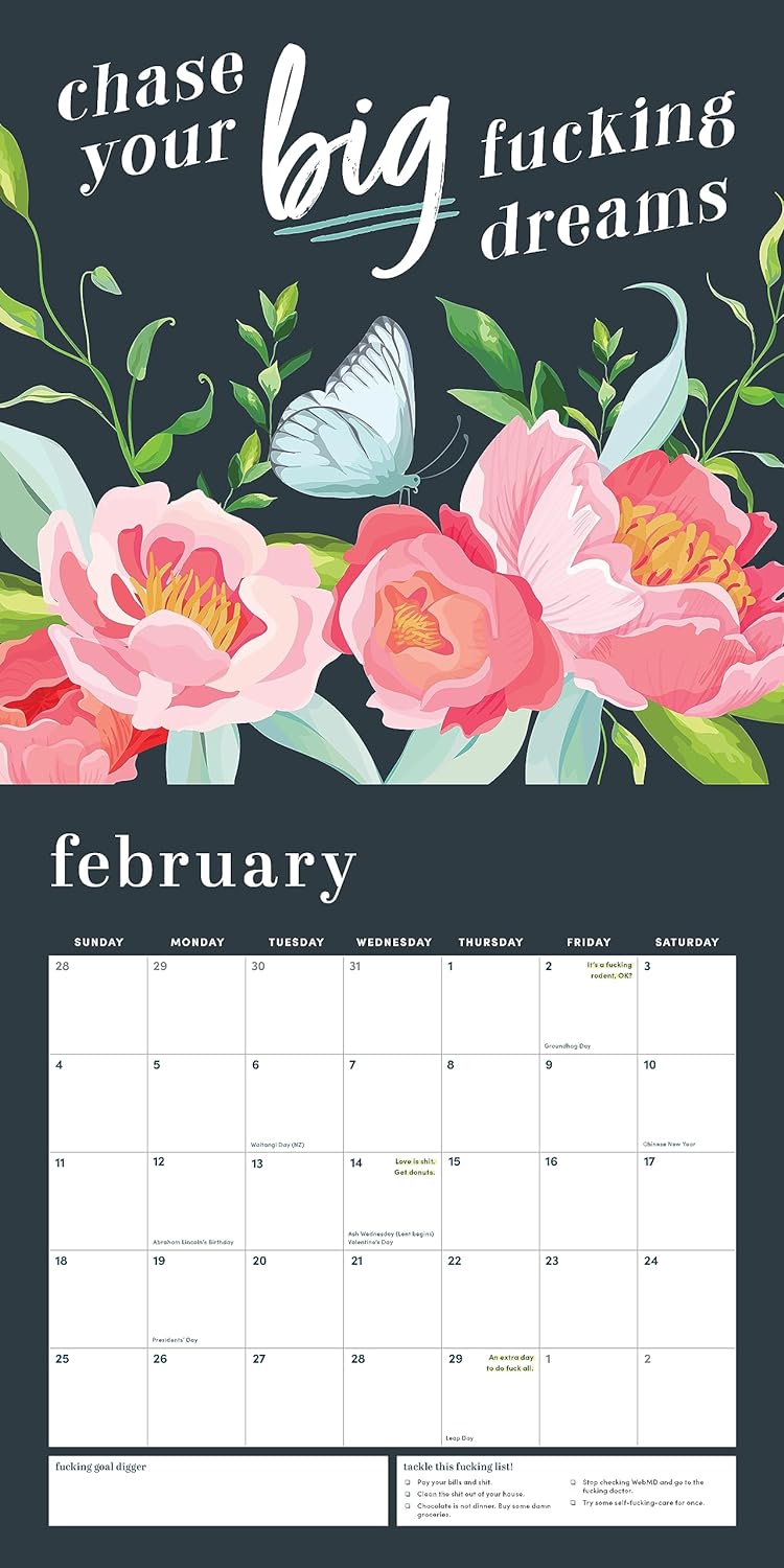 She Believed She Could So She F*cking Did - 2024 Wall Calendar ...