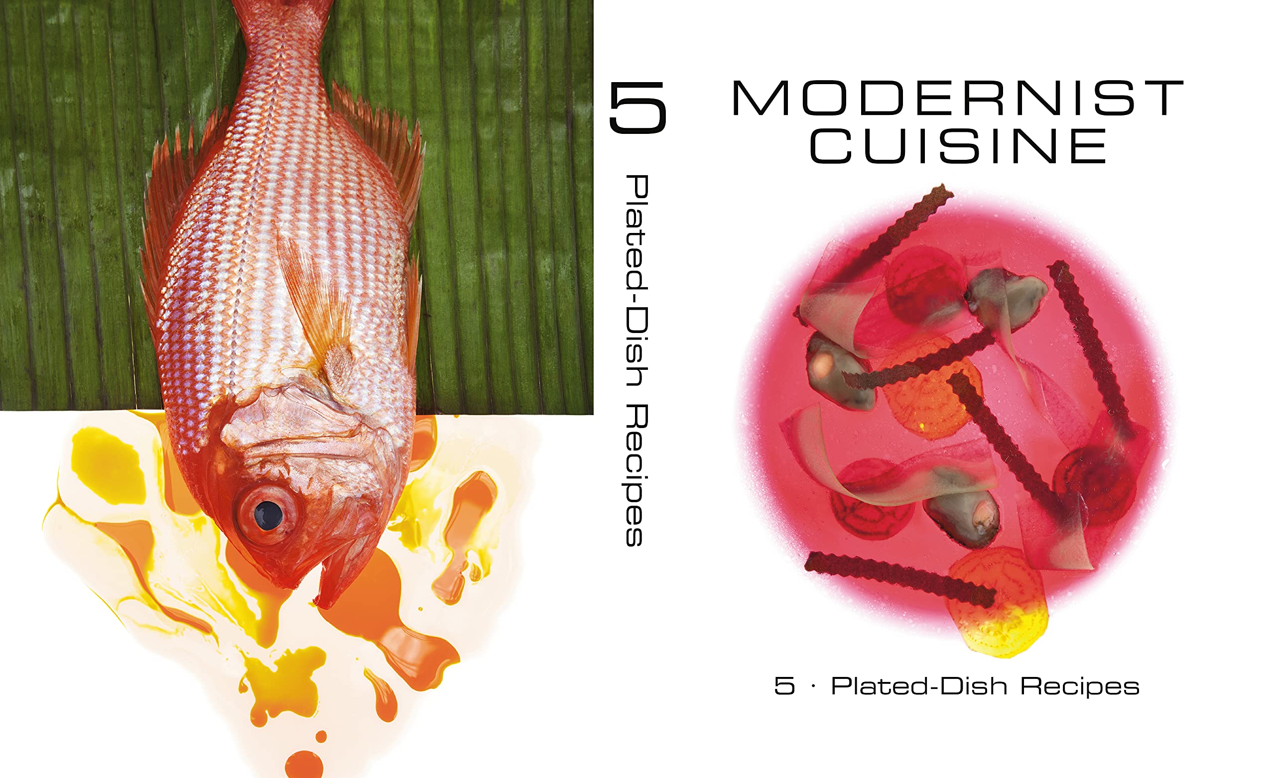 Modernist Cuisine by Nathan Myhrvold | The Art and Science of Cooking ...