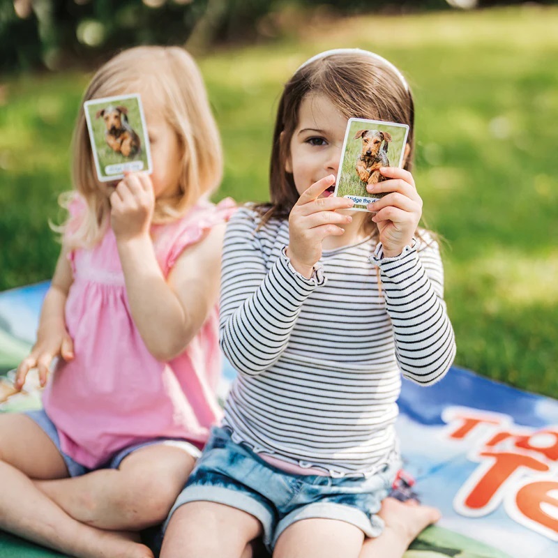 Tractor Ted: Farm Friends Matching Pairs - Playing Cards by Alexandra ...