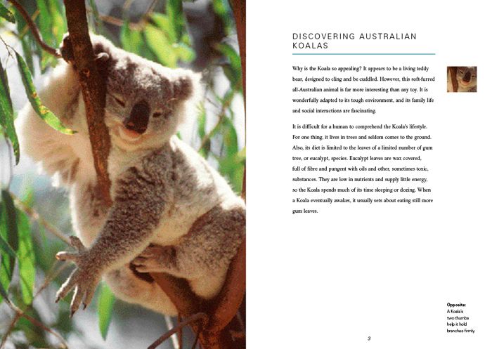 Steve Parish Mini Souvenir Book, Koalas, Australia by Slater Pat Parish ...