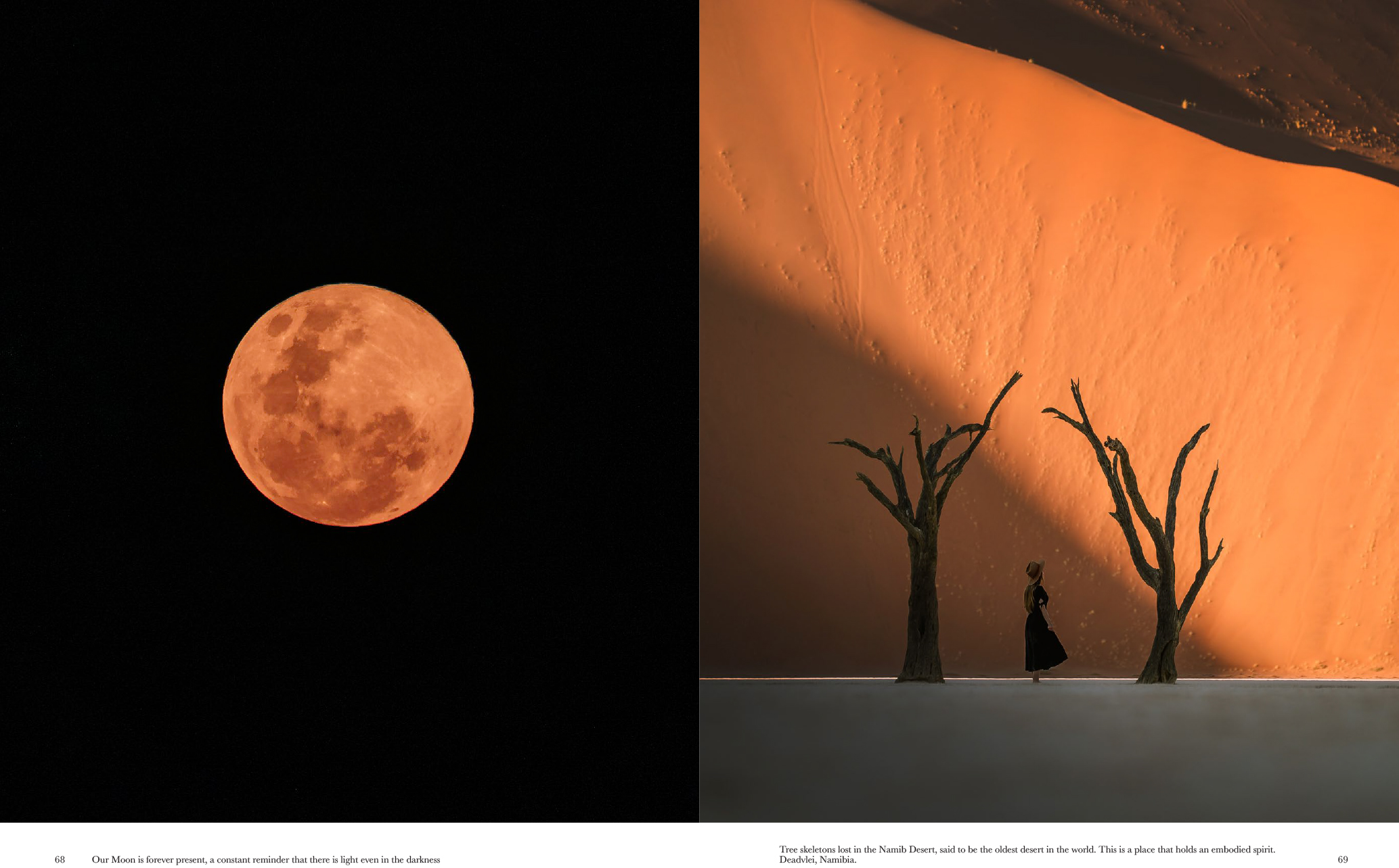 Forever Wandering, Our Natural World through the Eyes of Hello Emilie ...
