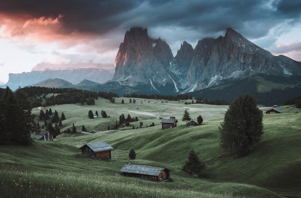 Forever Wandering, Our Natural World through the Eyes of Hello Emilie ...