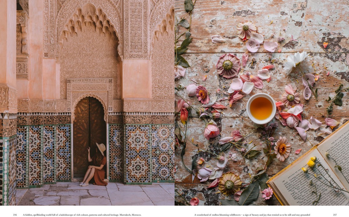 Forever Wandering, Our Natural World through the Eyes of Hello Emilie ...