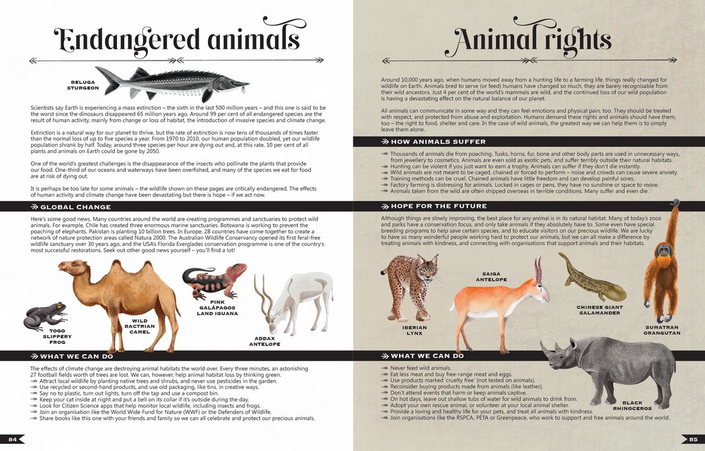 Wildlife Compendium of the World by Tania McCartney | Awe-inspiring ...