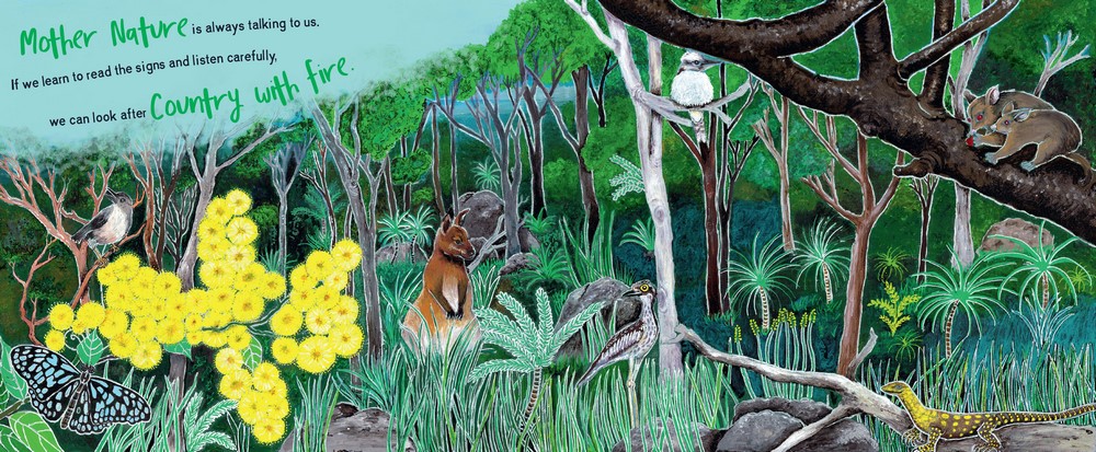 Looking After Country with Fire, Aboriginal Burning Knowledge With ...