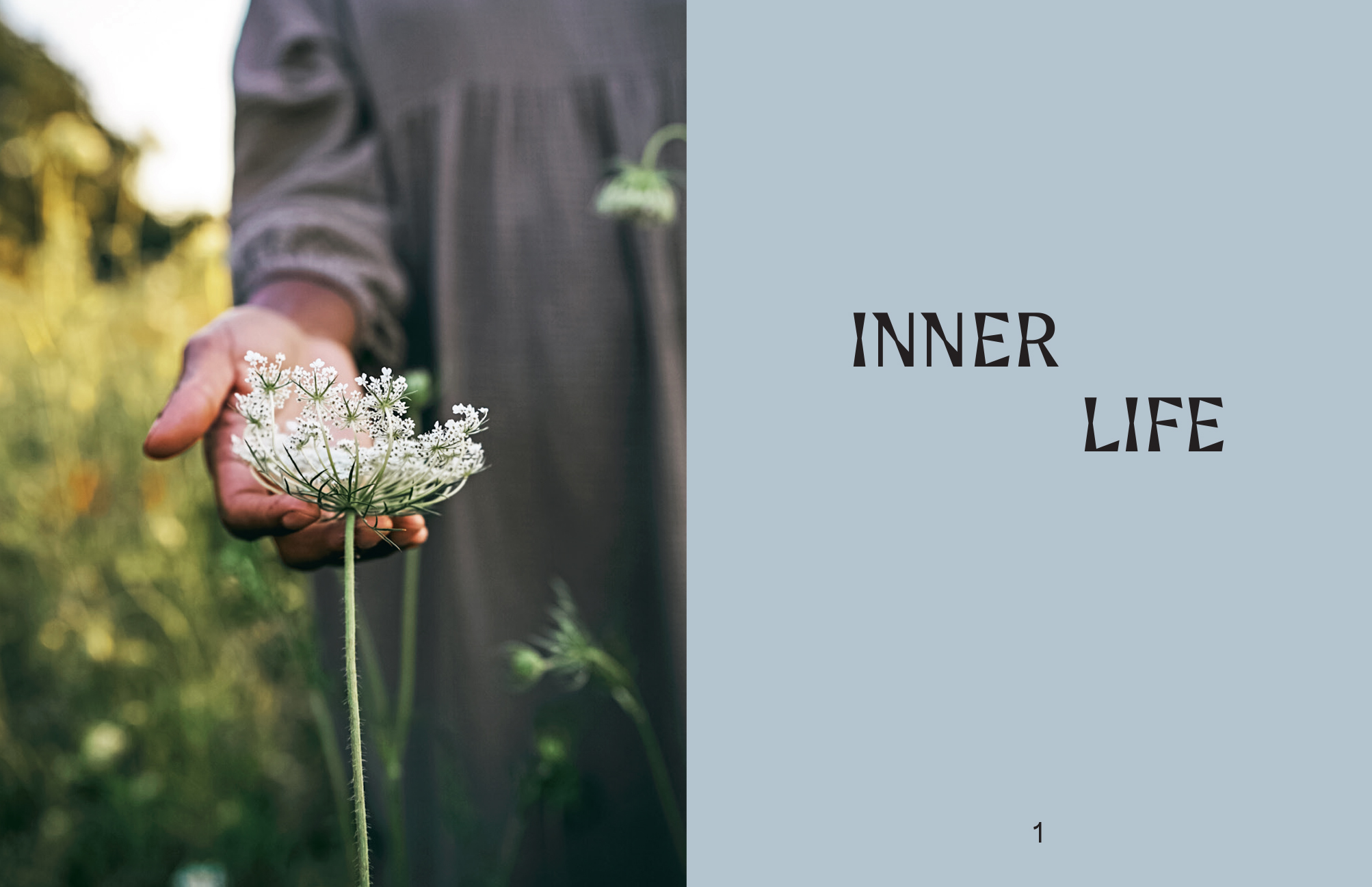 Wild Life, 50 Projects to Rewild Your Life From the Home to Outdoors by ...