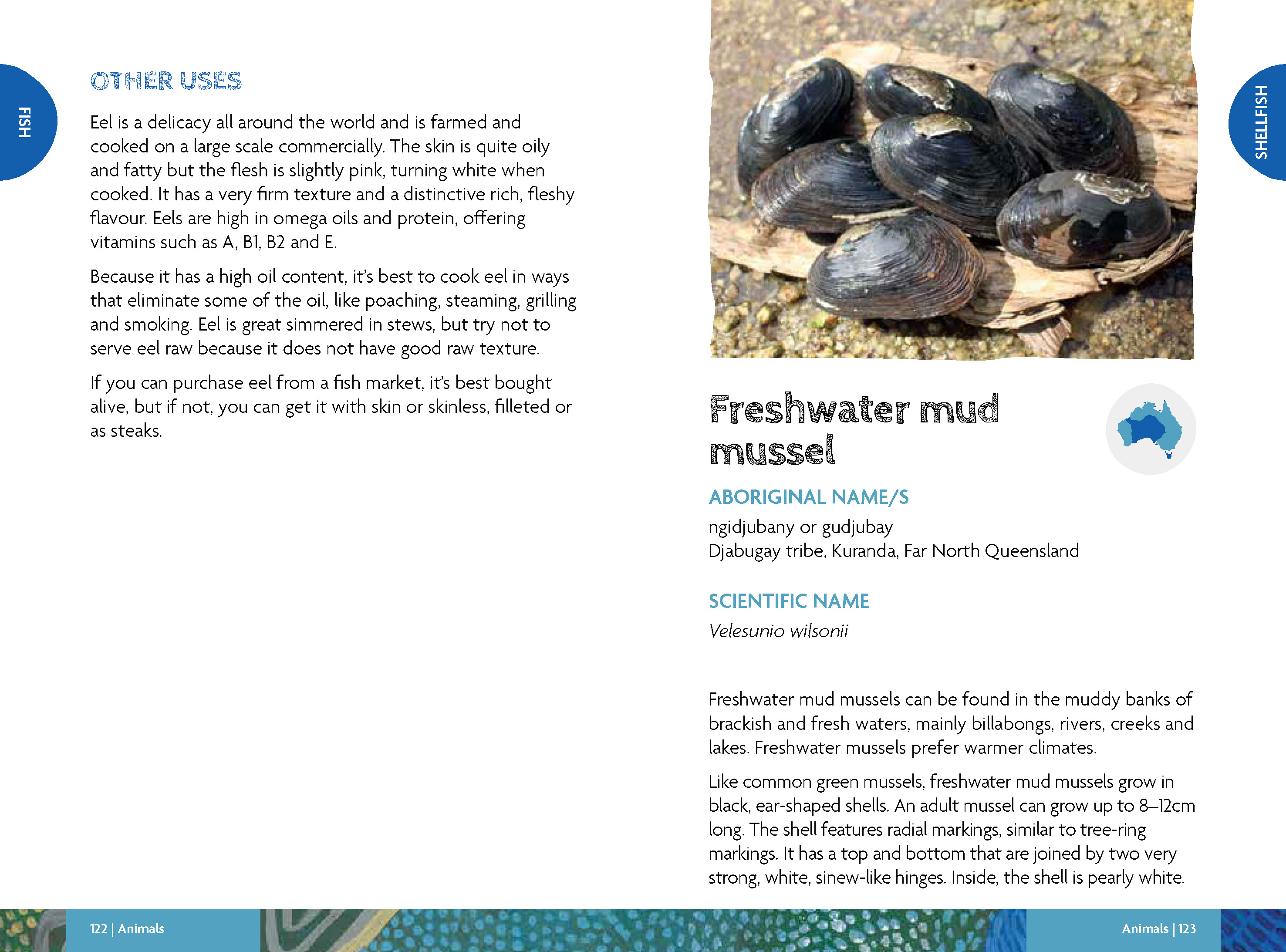 Bush Tukka Guide by Samantha Martin | 2nd Edition - 60+ bush foods and ...