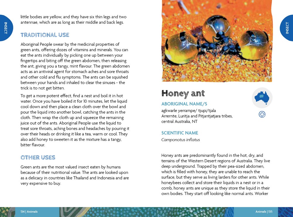 Bush Tukka Guide by Samantha Martin | 2nd Edition - 60+ bush foods and ...