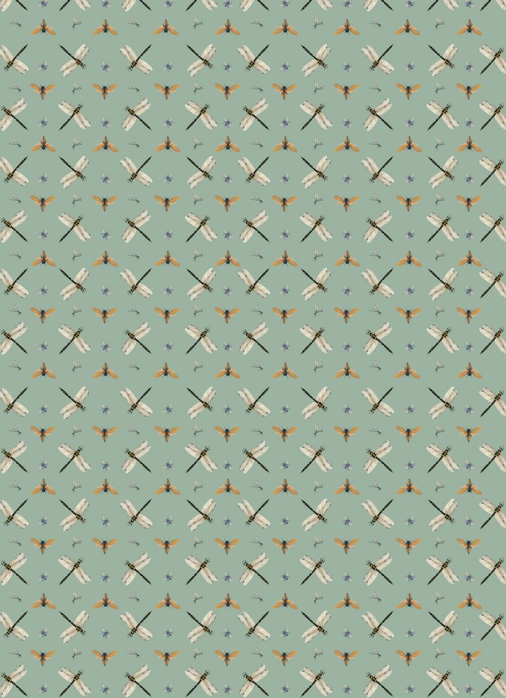 All Wrapped Up: Australian Geographic by Australian Geographic | A ...