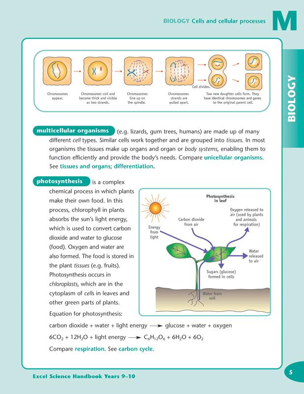 Excel Science Handbook, Years 9-10 by Excel | 9781741250480 | Booktopia