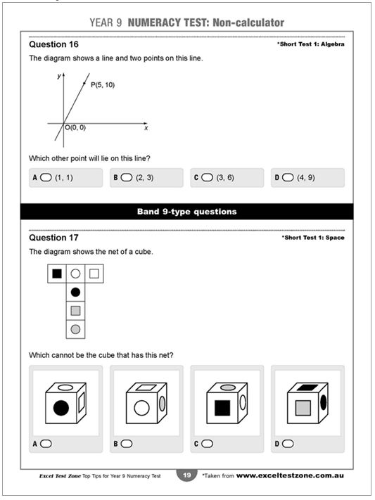 Excel Top Tips for Year 9 Numeracy Test by Lyn Baker | 9781741252866 ...