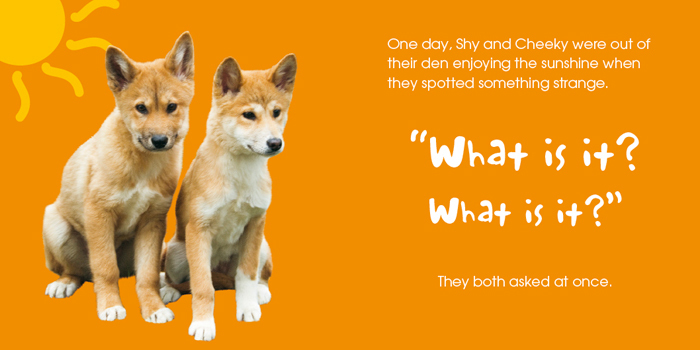 The Dingo Twins' Surprise, Bedtime Read-Along Story Book by Catherine ...