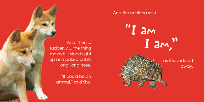 The Dingo Twins' Surprise, Bedtime Read-Along Story Book by Catherine ...