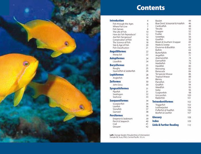 Marine Fishes, A Wild Australia Guide by Ayling Dr Tony Parish Steve ...