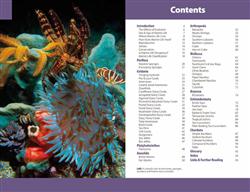 Marine Life by Ayling Dr To Dr Tony Ayling Steve Parish | A Wild ...
