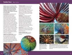 Marine Life by Ayling Dr To Dr Tony Ayling Steve Parish | A Wild ...