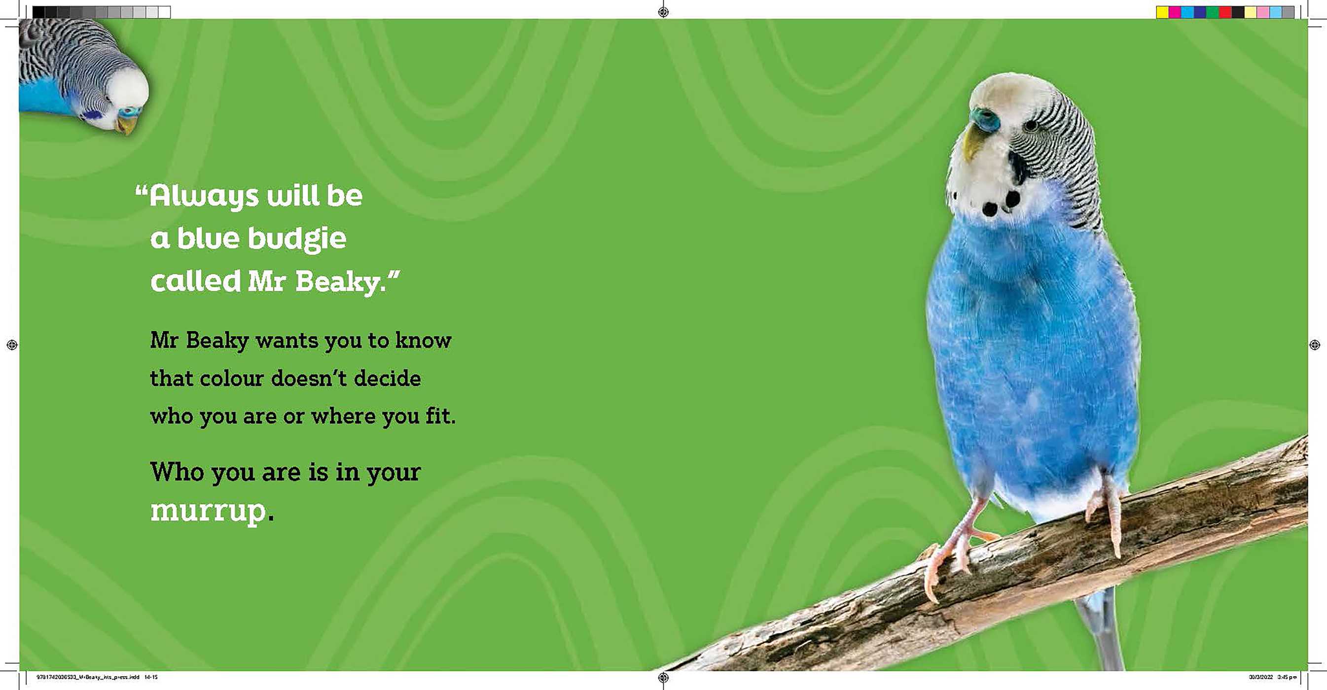 An Important Message from Mr Beaky by Cassie Leatham | 9781742036533 ...