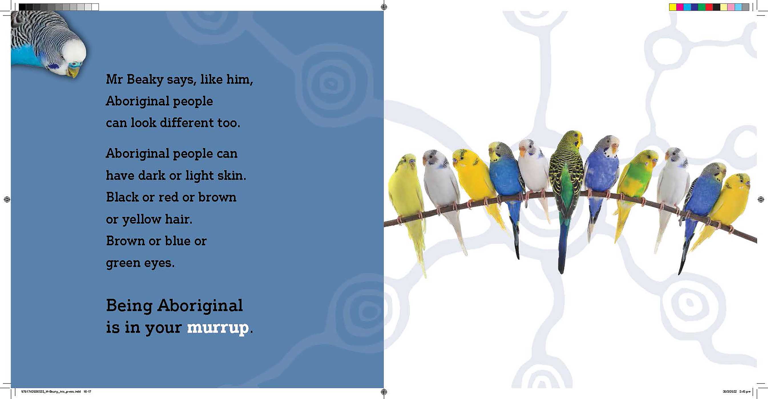 An Important Message from Mr Beaky by Cassie Leatham | 9781742036533 ...