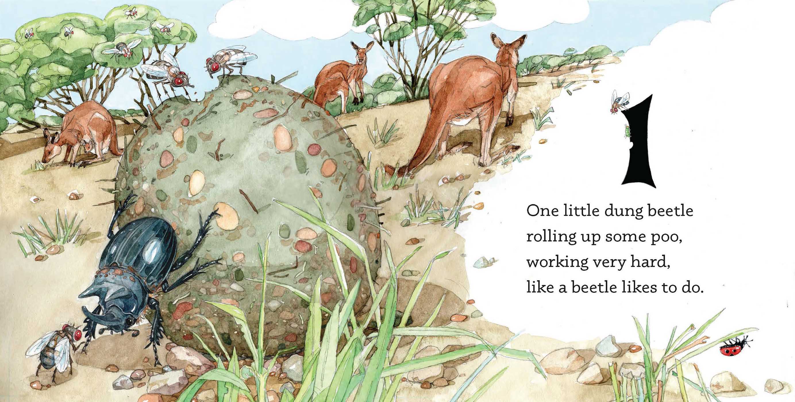 One Little Dung Beetle by Rhian Williams | 9781742036656 | Booktopia