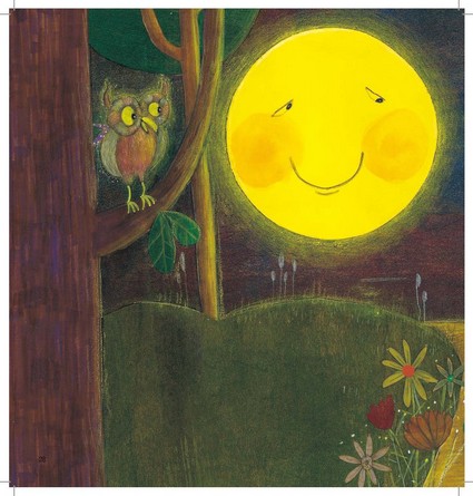 What Shape Is The Moon, Science Storybook Series by Australian ...