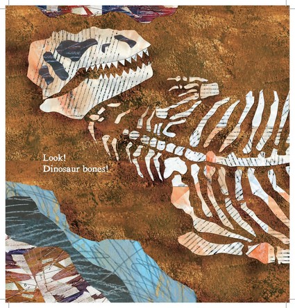 Fossils Tell Stories, Science Storybook Series by Australian Geographic ...