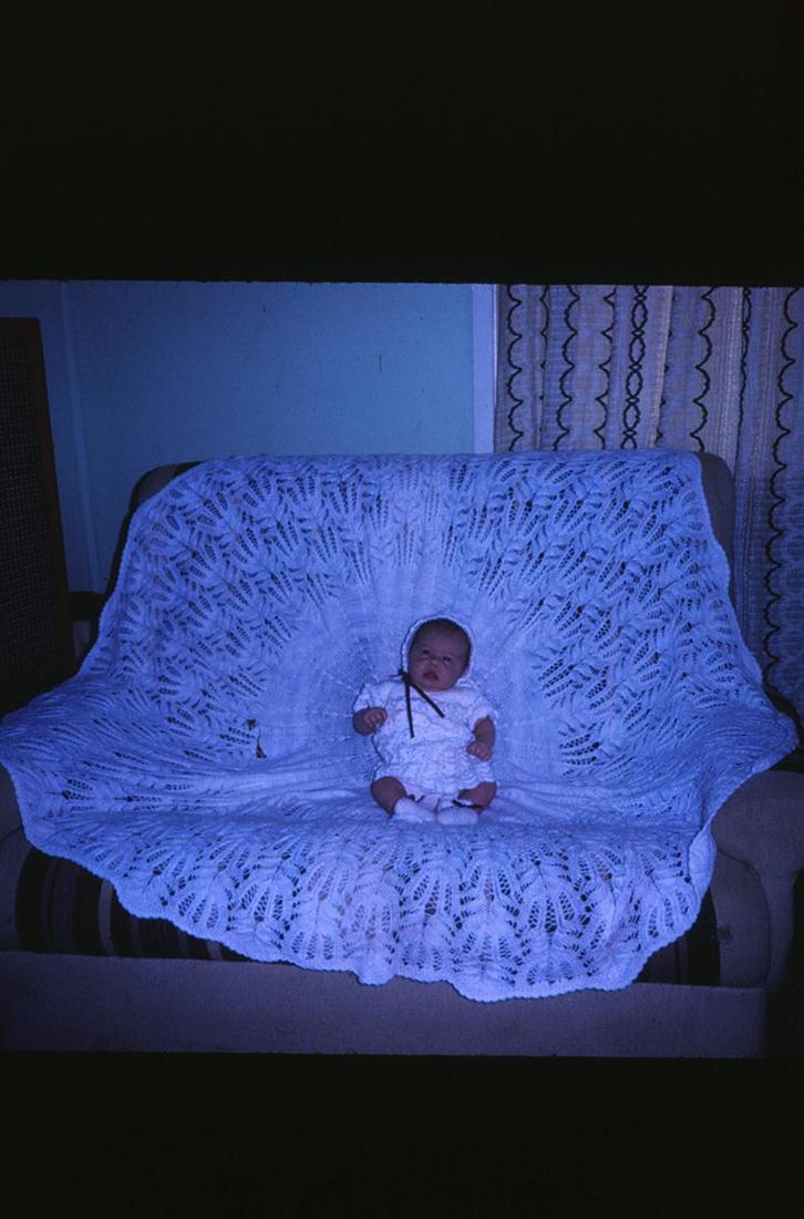 Heart of Stone, My Quest for Justice for Azaria by Michael Chamberlain ...