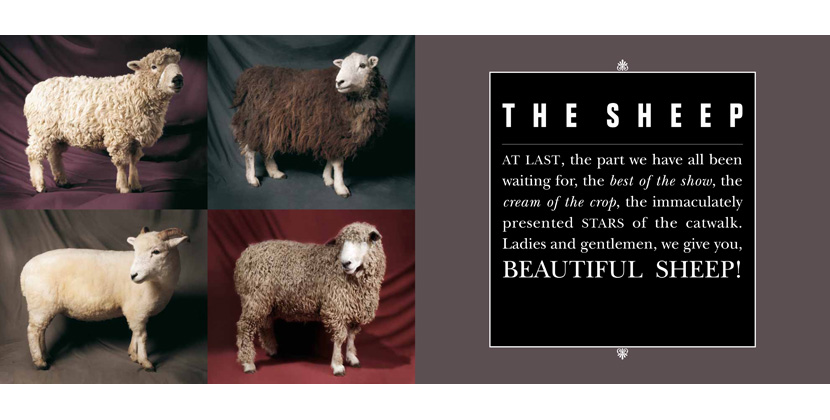 Booktopia - Beautiful Sheep, Beautiful Animals Series by Kathryn Dun ...
