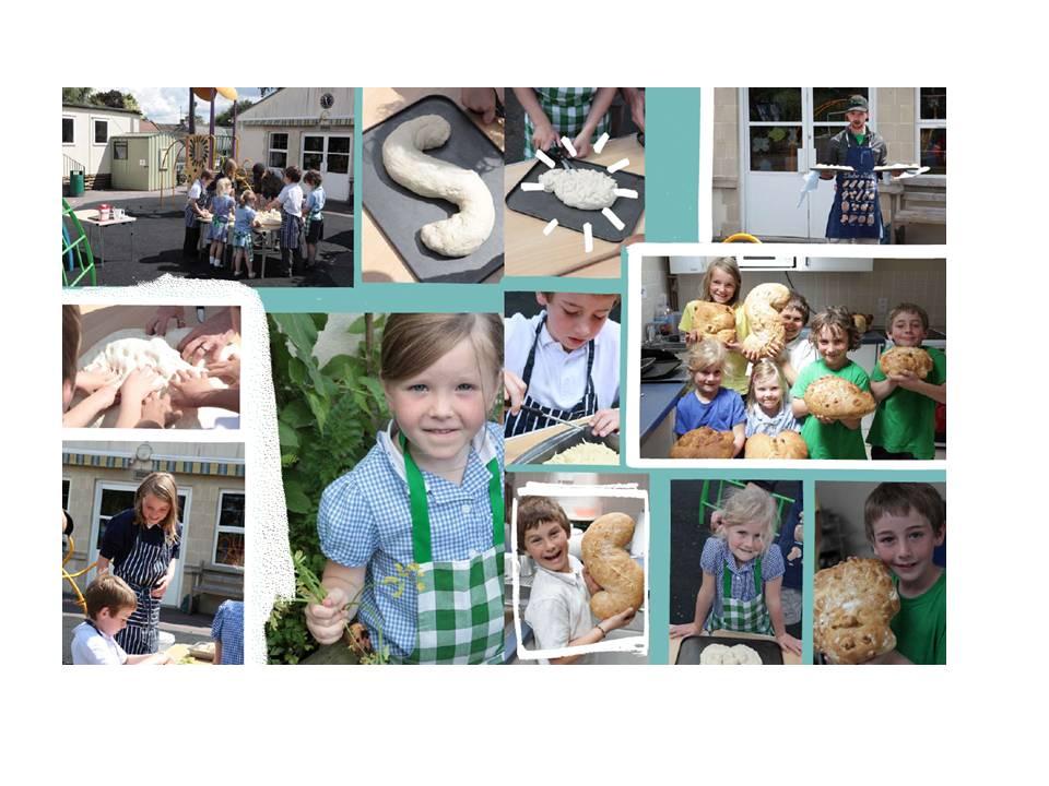 Bread Revolution, Rise up and bake! by Patrick Ryan | 9781742666686 ...