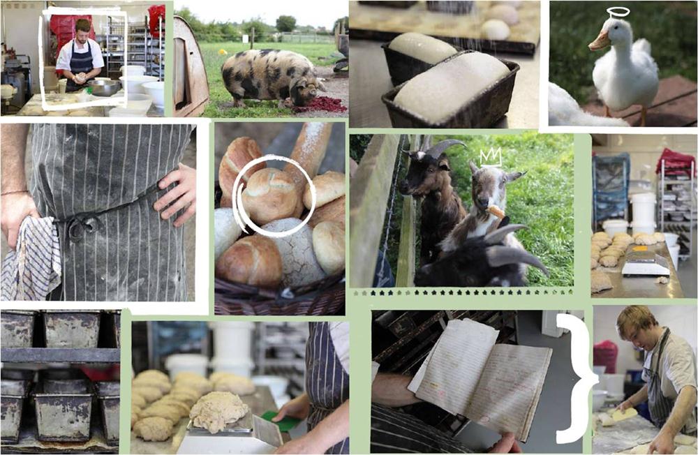 Bread Revolution, Rise up and bake! by Patrick Ryan | 9781742666686 ...